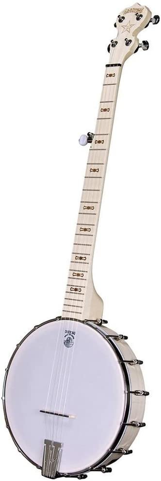 Deering Goodtime 5-String Banjo — Pineville Music